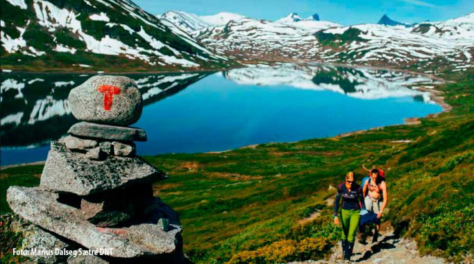 ALI Original - Joh. Johannson Kaffe